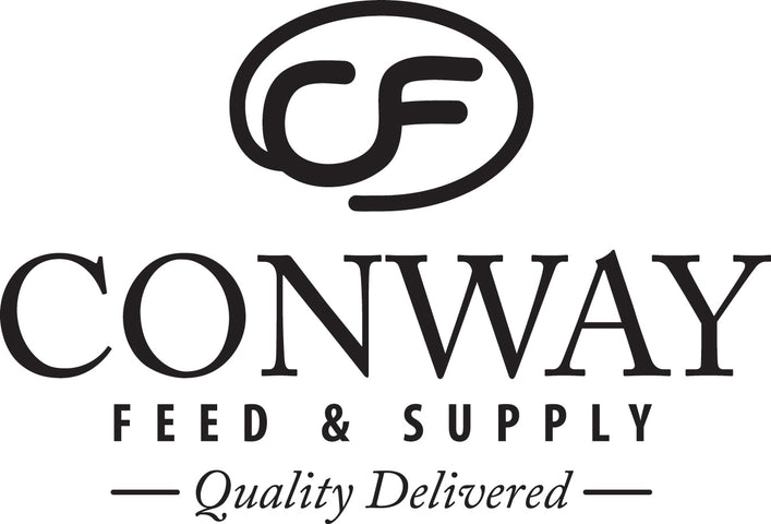 Hay For Sale Near Me in Arizona — Conway Feed & Supply
