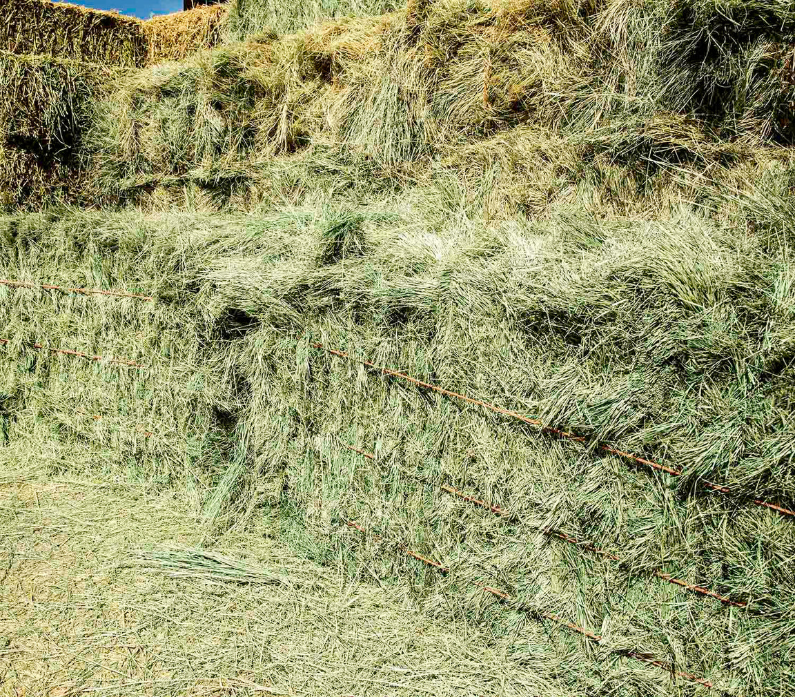 Grass Hay — Conway Feed & Supply