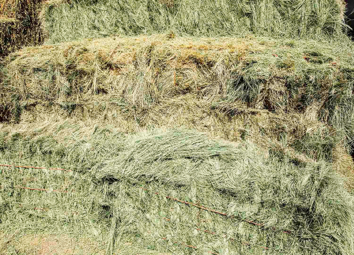 Hay For Sale Near Me in Arizona — Conway Feed & Supply