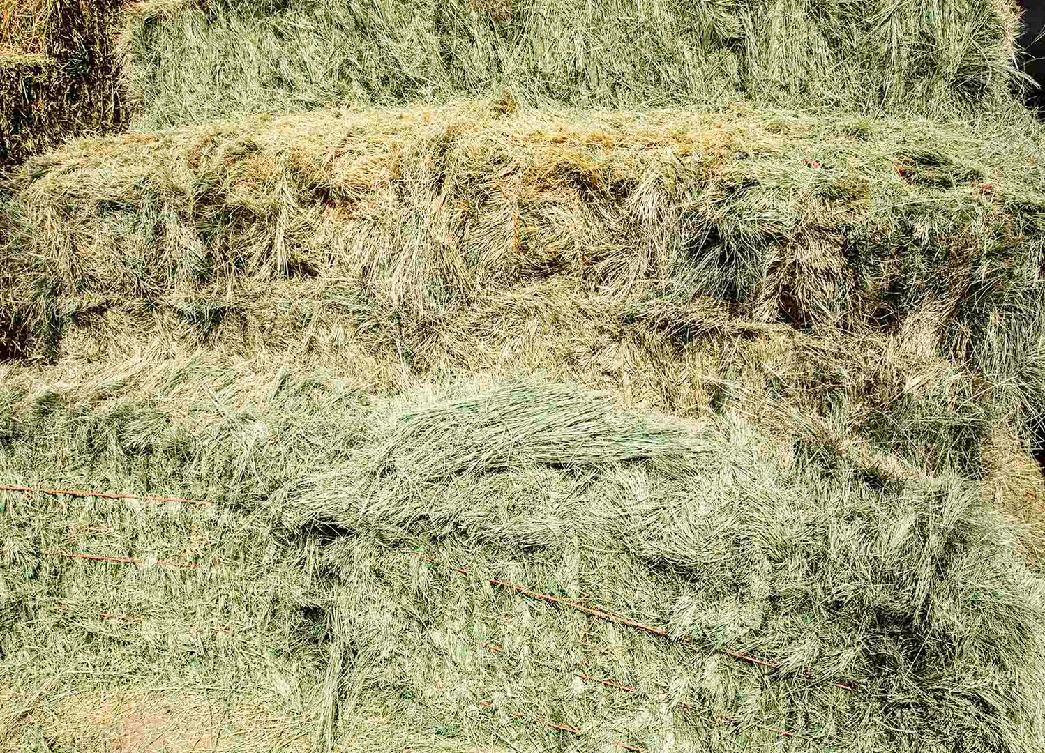 Grass Hay — Conway Feed & Supply