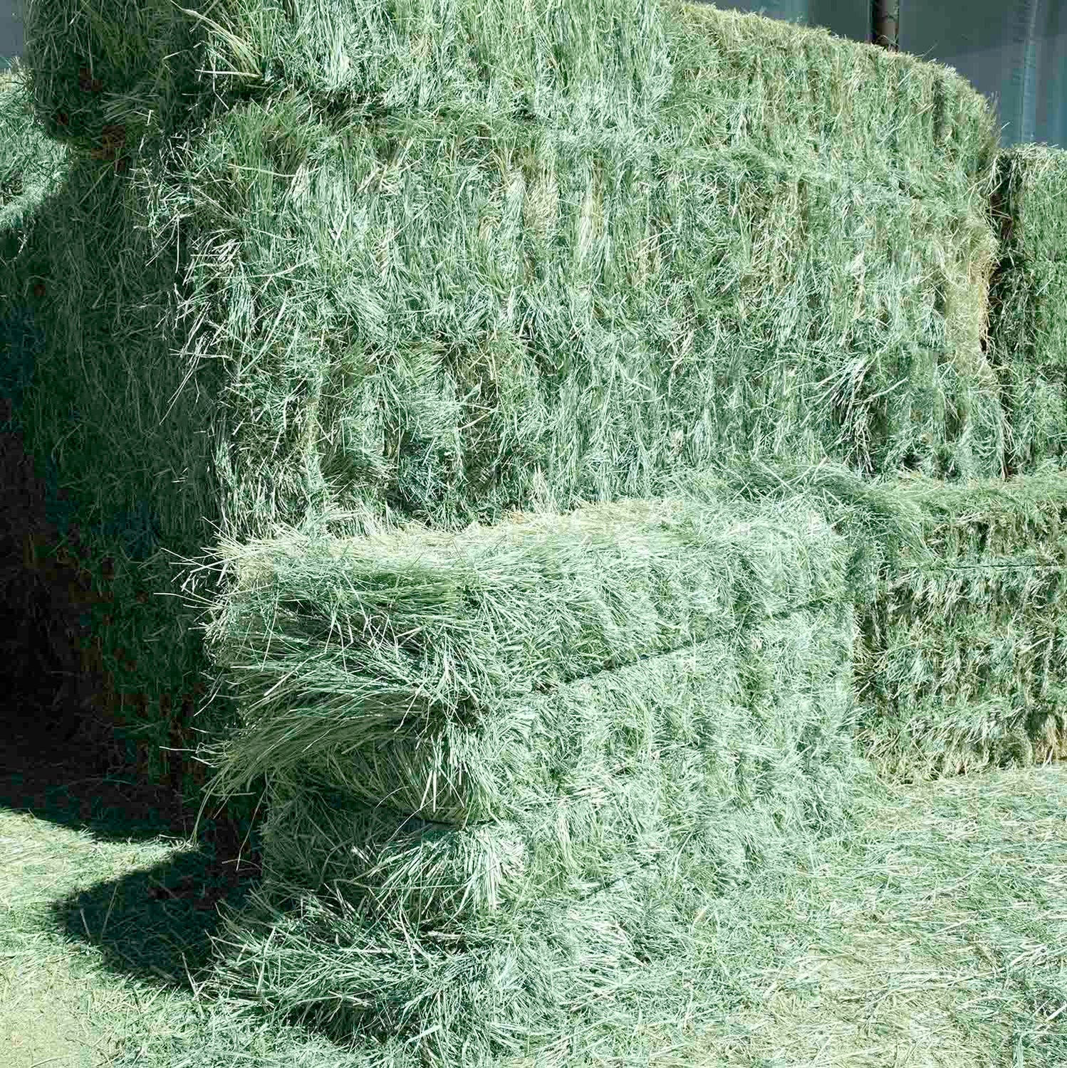 Hay For Sale Near Me in Arizona — Conway Feed & Supply