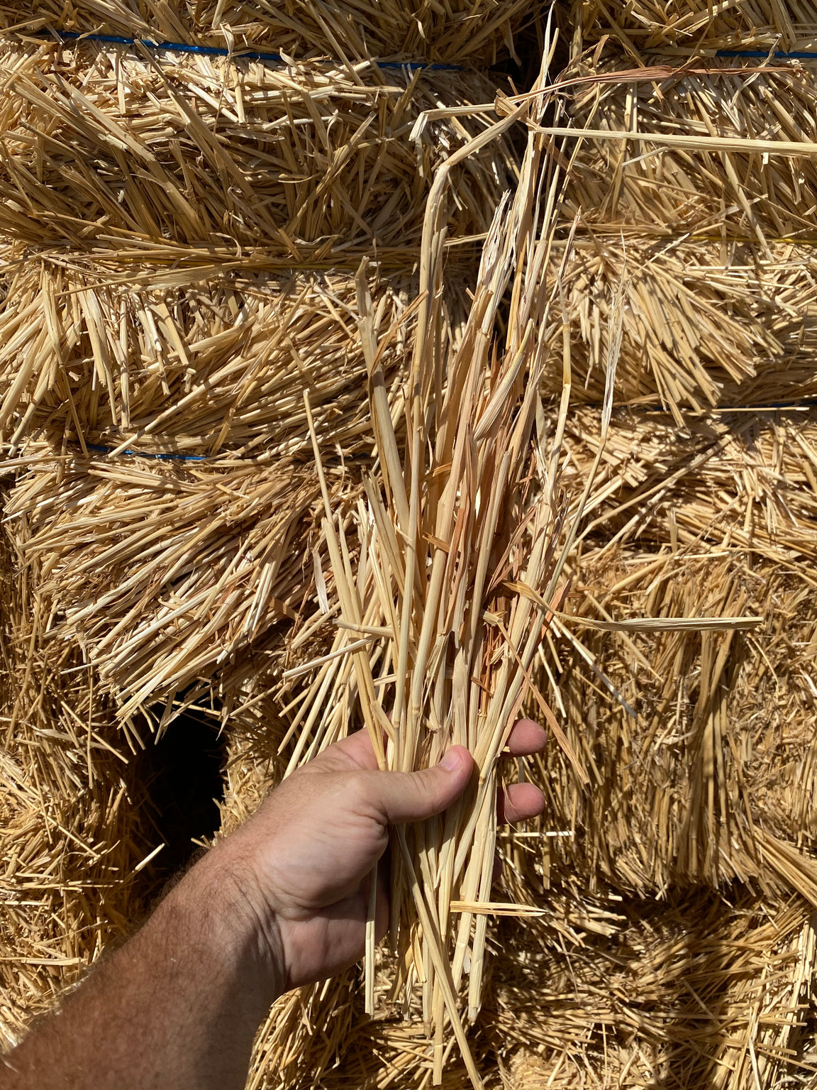 Hay For Sale Near Me in Arizona — Conway Feed & Supply